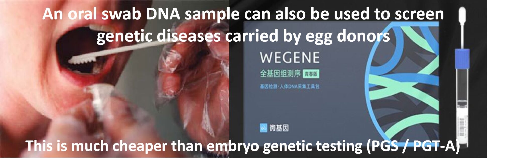 Egg Donation In Malaysia: Pitfalls That IVF Patients Should Avoid – Dr ...