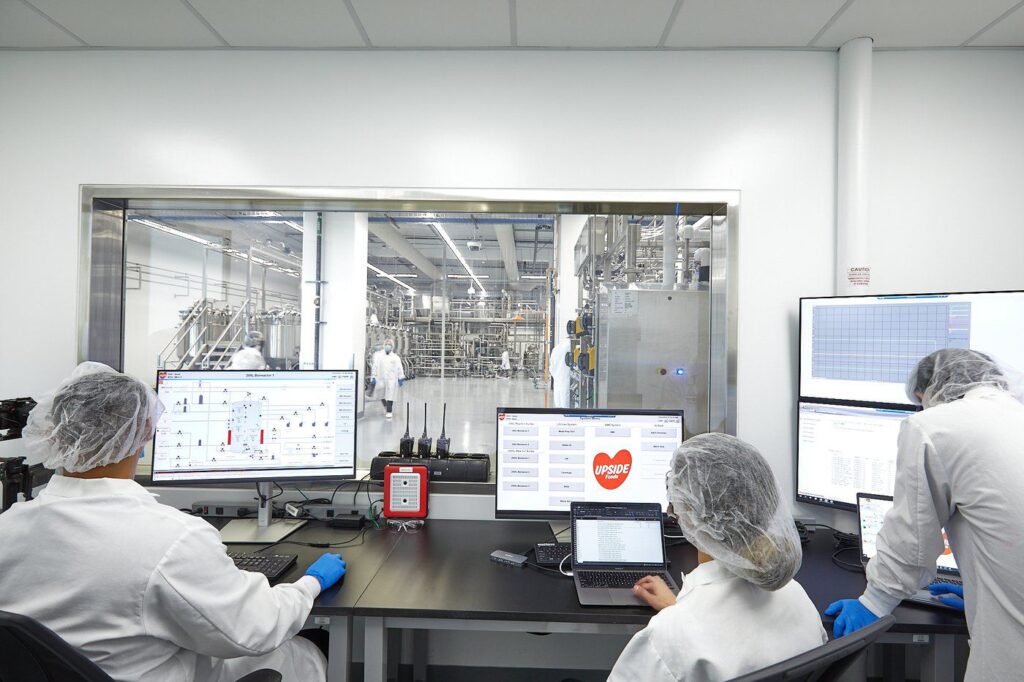 International - CodeBlue