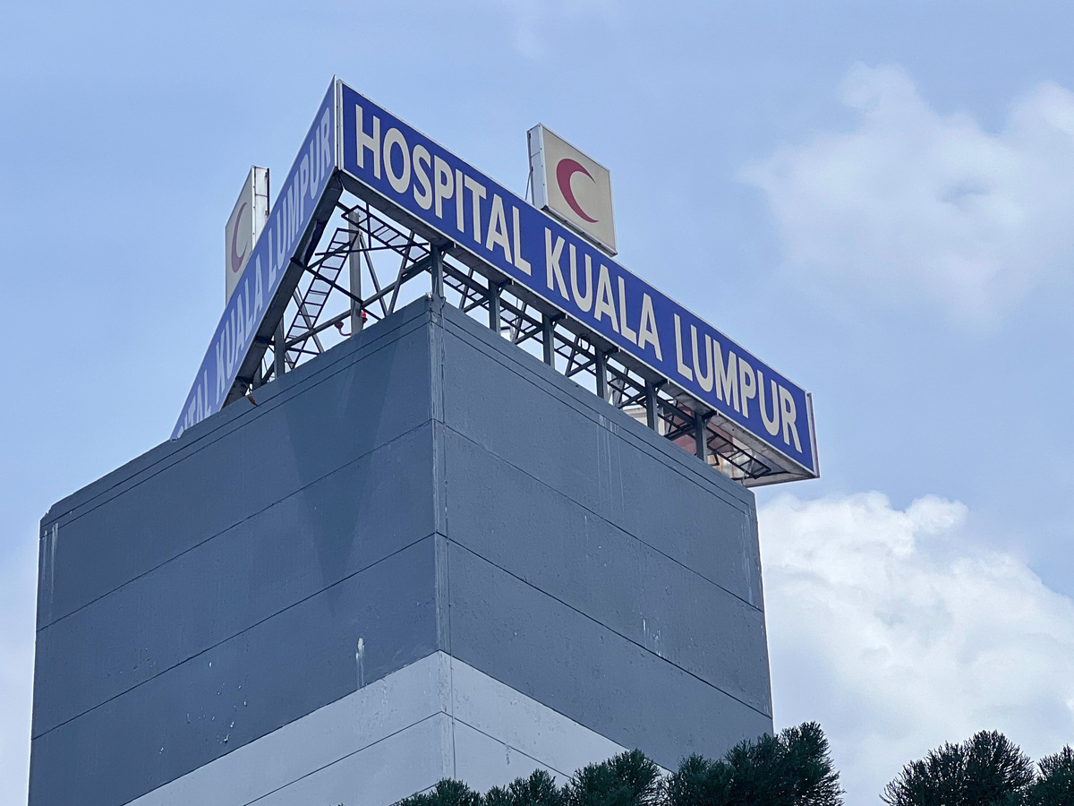 Government Hospitals Are An Invaluable Gem — Lee Hui Shan - CodeBlue