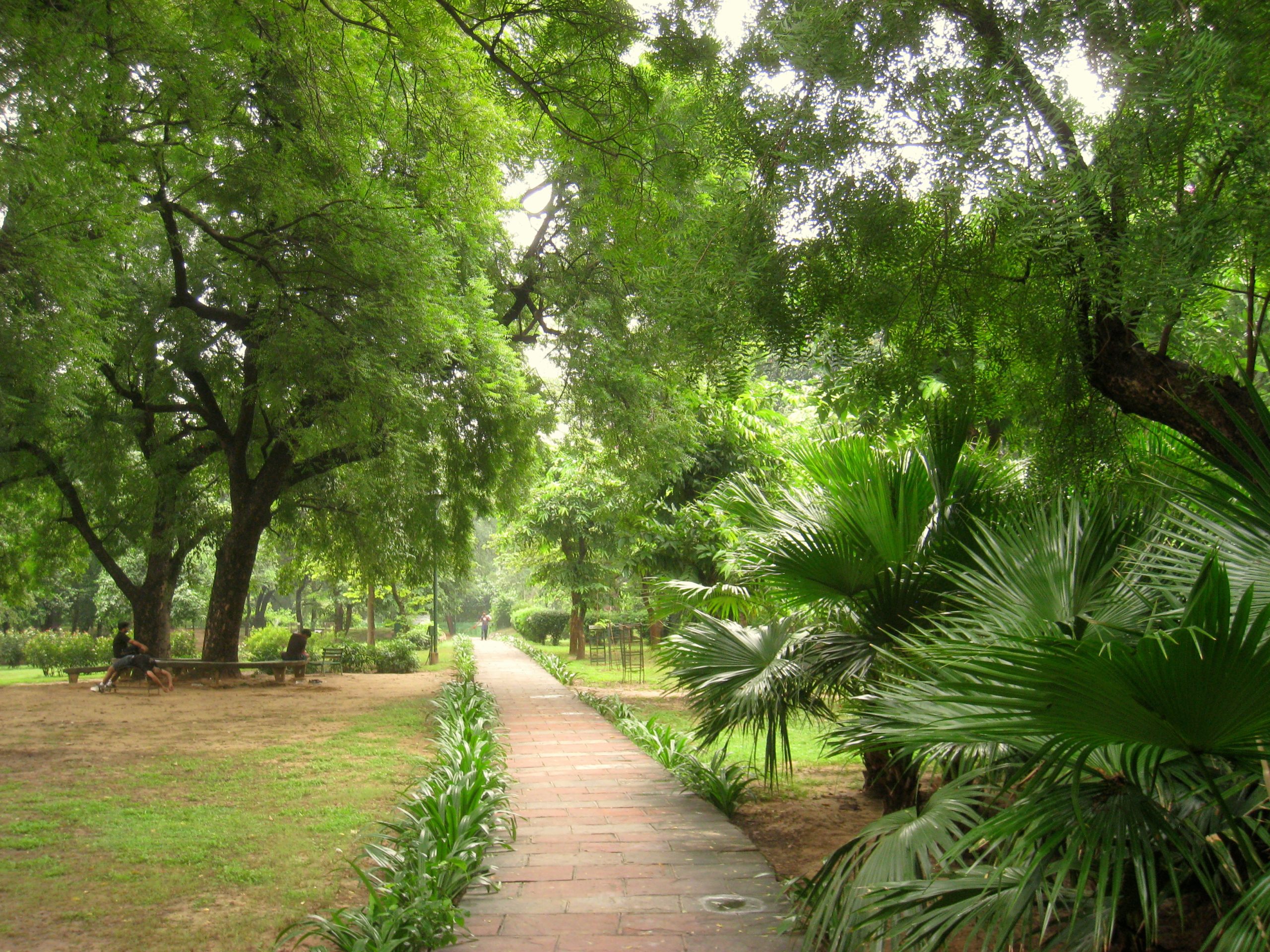 Local Strategies A Must For Indian Cities Facing Heat Waves - CodeBlue