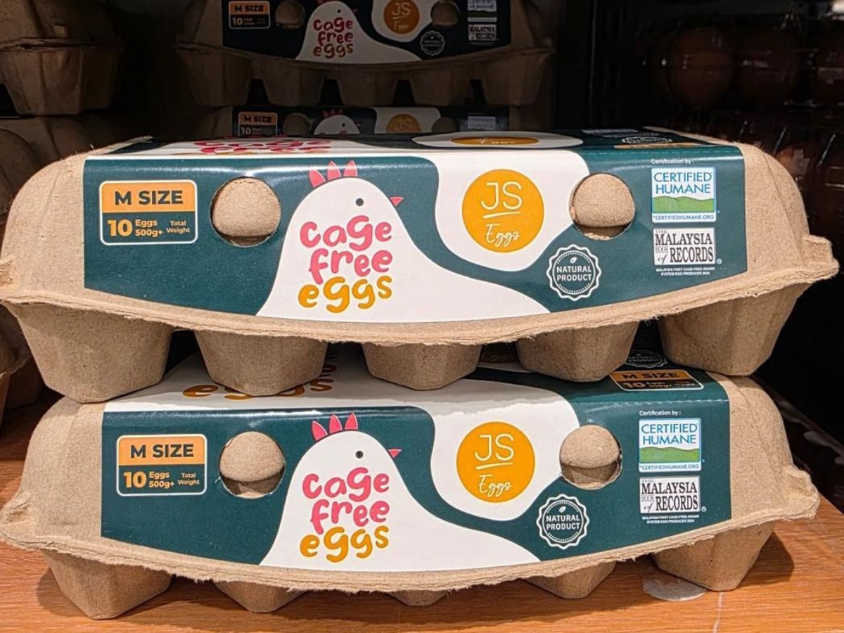 AEON, Jaya Grocer Lead The Way In Cage-Free, Free-Range Eggs - CodeBlue